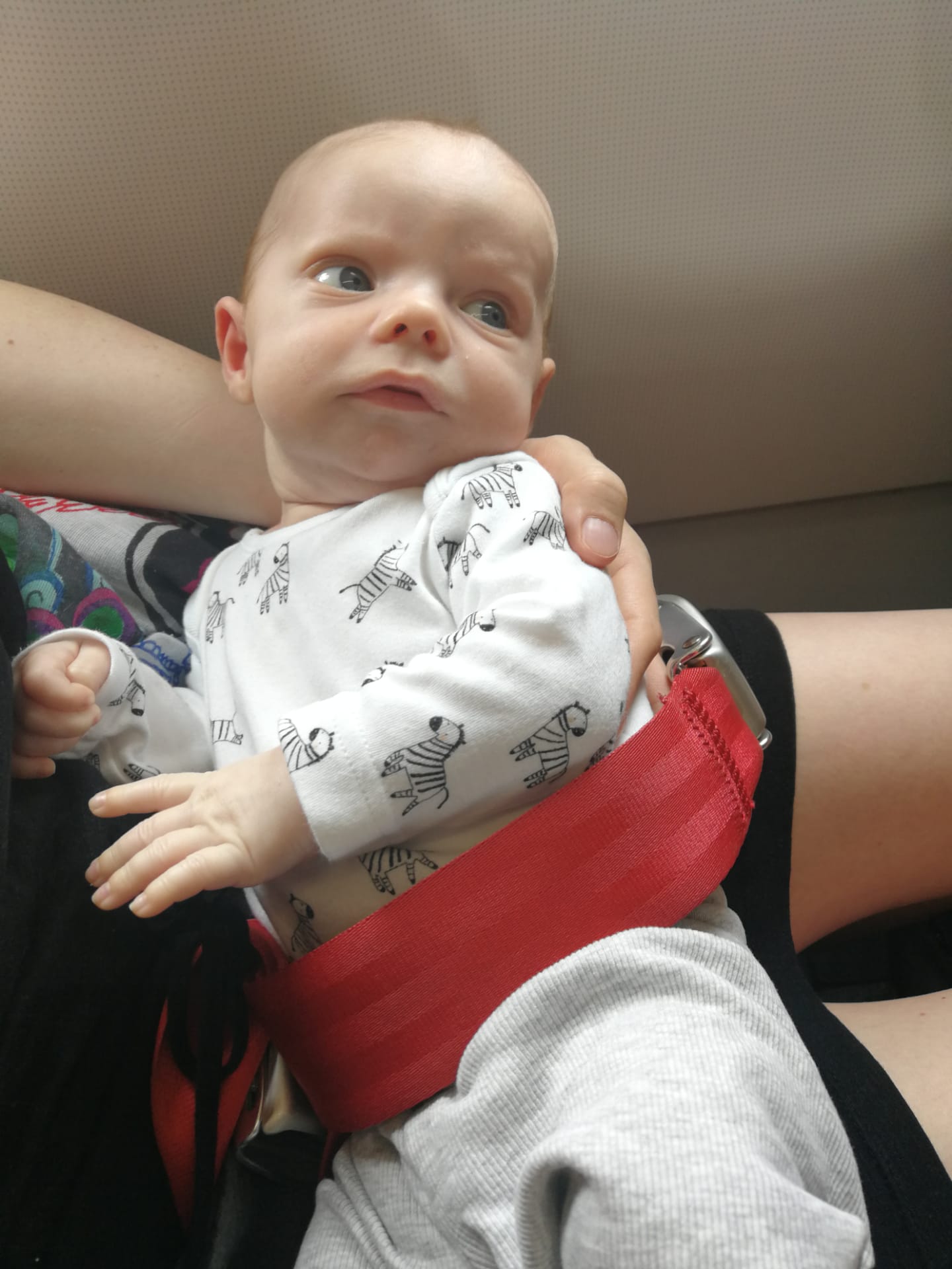 Whatever it takes: 10 travel tips from our rare family trips - A Very ...